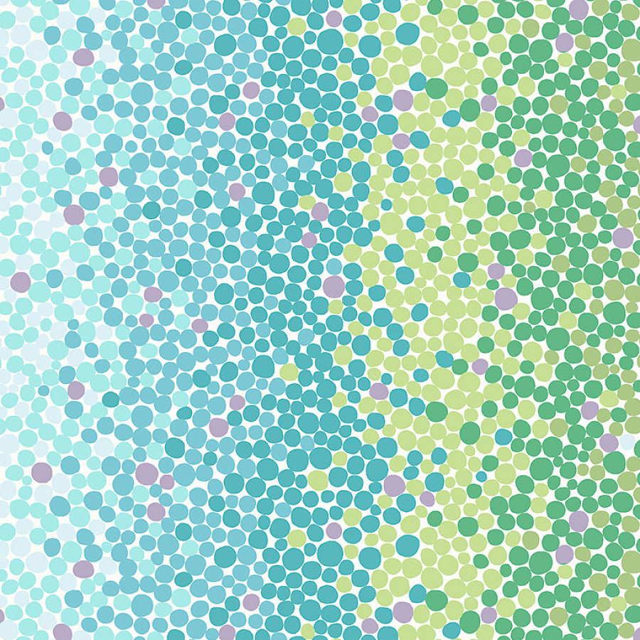 Neighborhood Association Ombre Dots Aqua Green – Studio E – Fort Worth ...